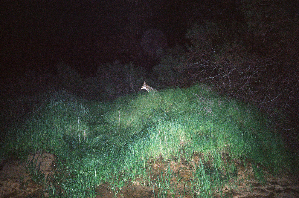 Dan Monickがソロ・エキシビション「FANTASY HOURS」を東京・幡ヶ谷 gallery communeにて開催 | AVE ...